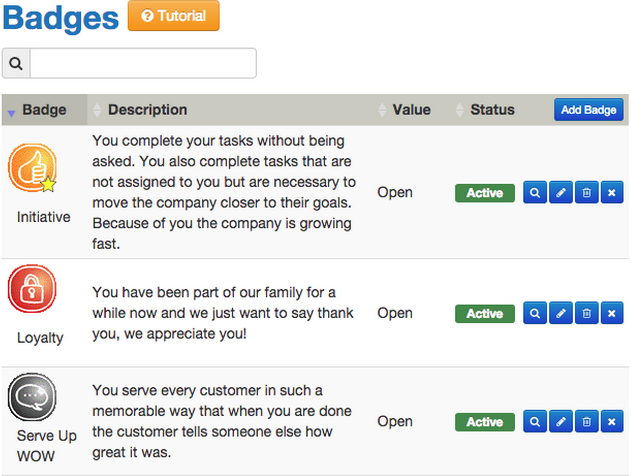 Recognition Awards, Manager Badges, Peer Badges...What's the Point?